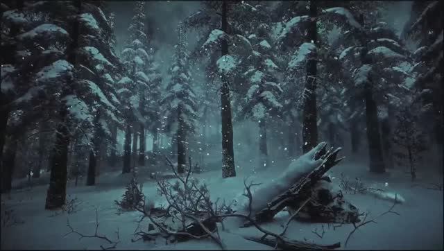 Все для крепкого сна. Зимний морозный ветер в заснеженном лесу, где слышны звуки ветра и вьюги