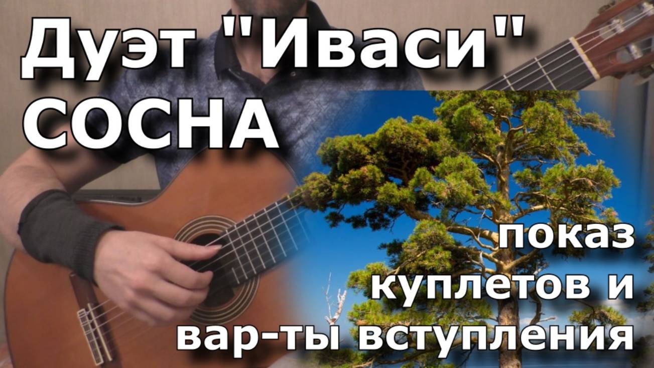 ИВАСИ - Сосна (показ вступления и куплетов)