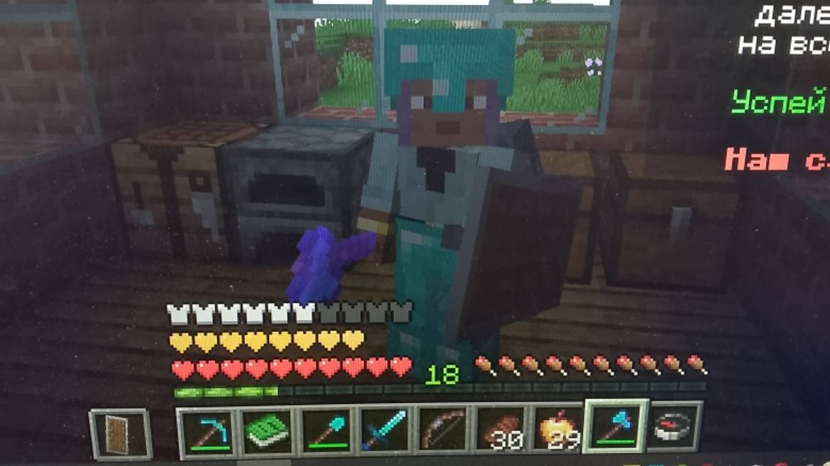 Выживание в сетевой игре в майнкрафт.