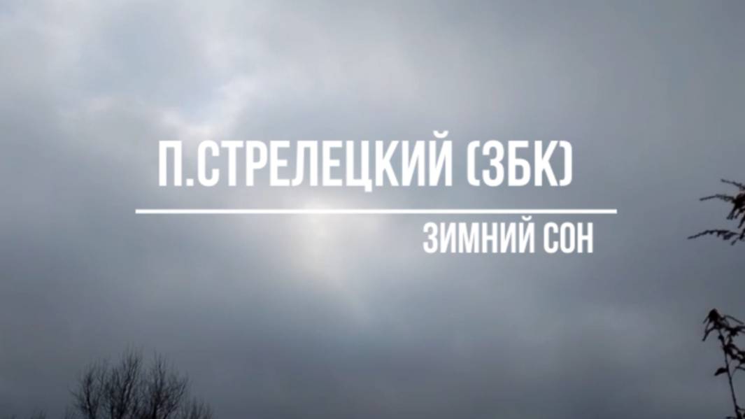 п.Стрелецкий (ЗБК) Зимний сон.