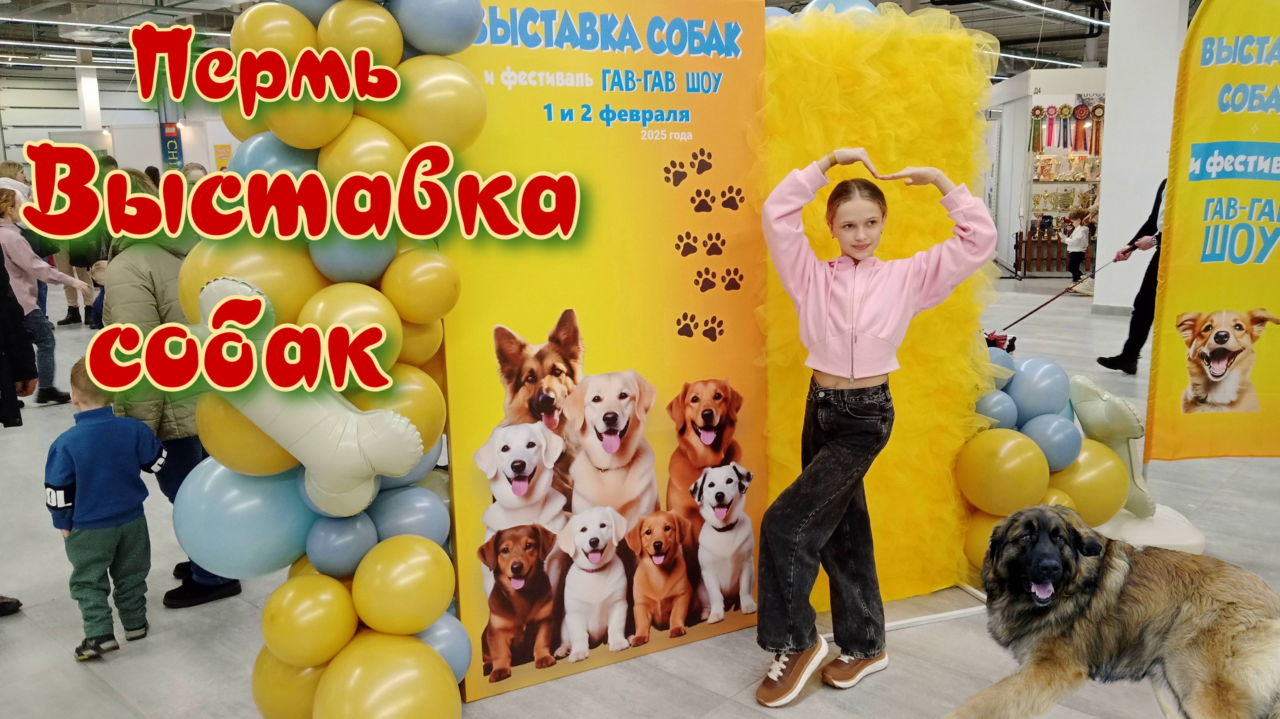 Россия. Пермь. Выставка собак.