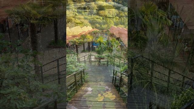 Ретрит на море "Путь Души" 2025