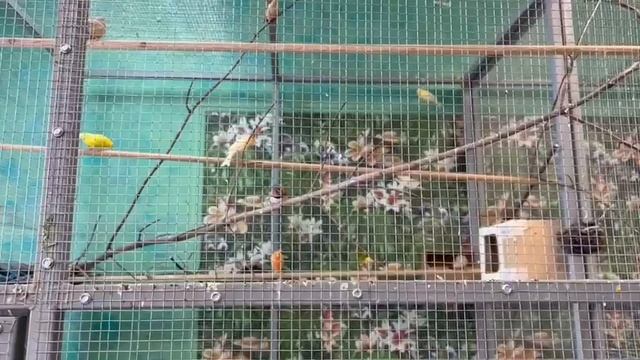 Лицеисты посетили факультеты «Биоинженерия и ветеринарная медицина»