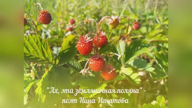 "Ах, эта земляничная поляна" - поэт Нина Игнатова