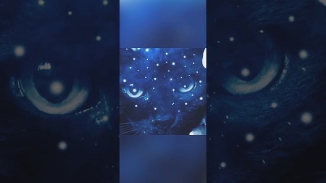 MP4_20250212_121859_PHOTOMOVIE