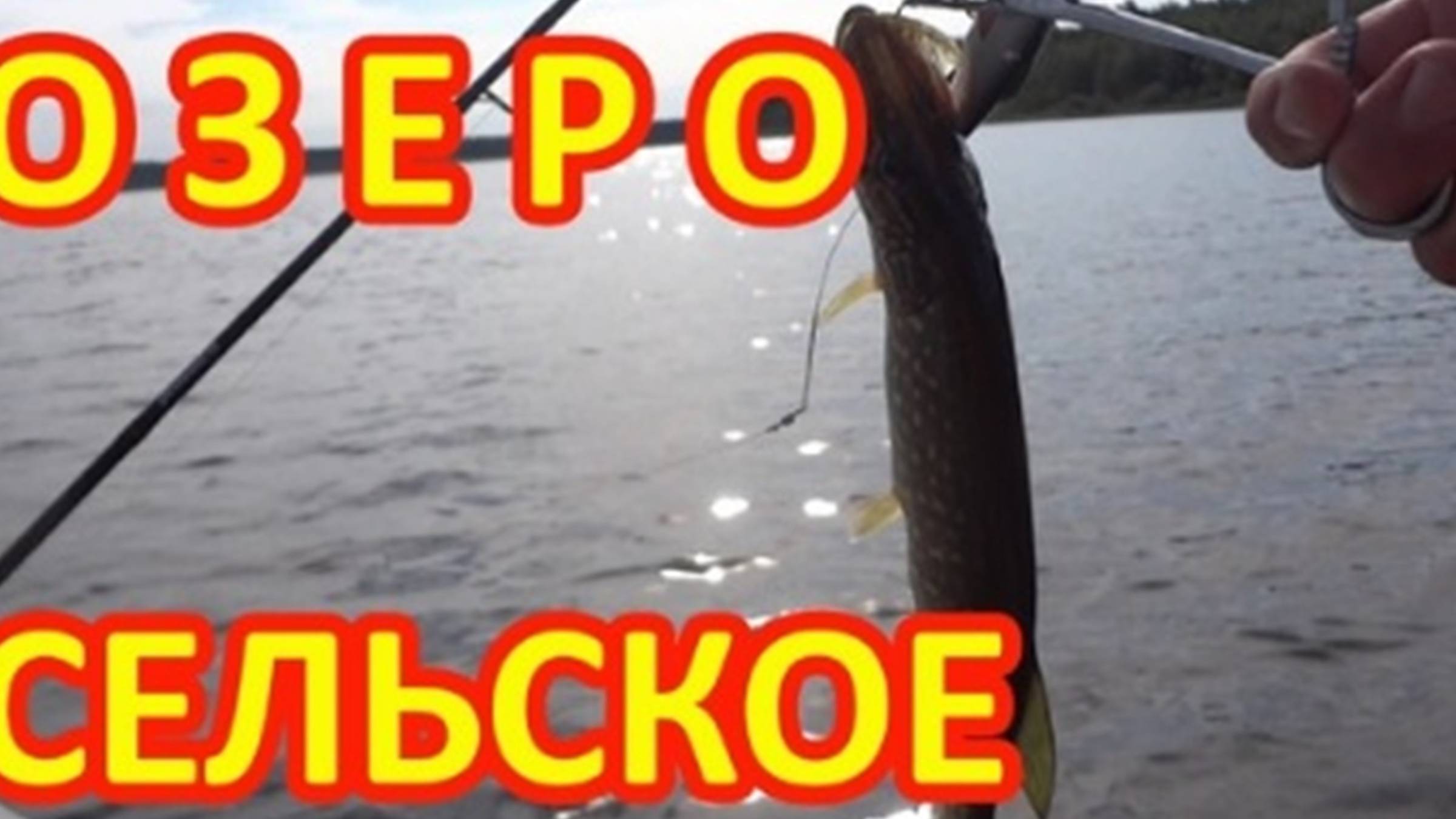 Озеро Сельское. Разведка новых мест и разведка по рыбе на озере Сельское.