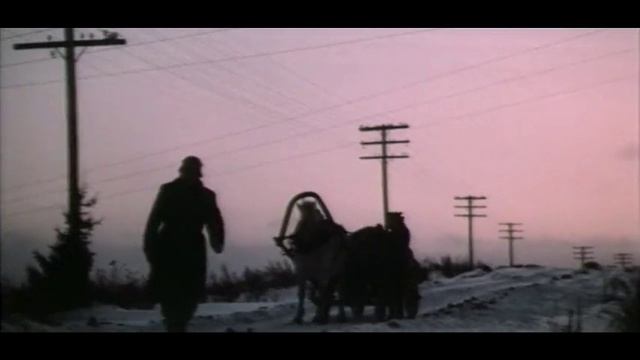 Буктрейлер к произведению В.Быкова "Дожить до рассвета"