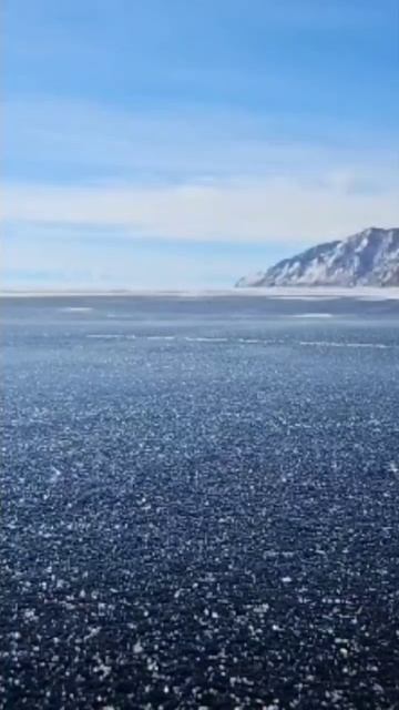 Рыбалка 🎣 тестирование мушек