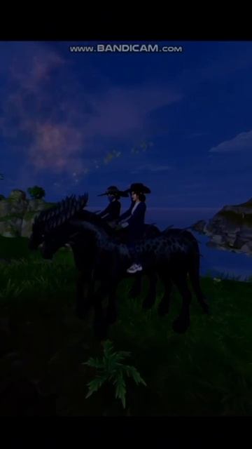 Игра в Star Stable 
Reels