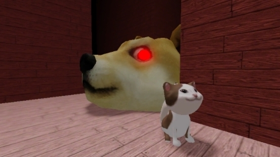 Попкат от дожа