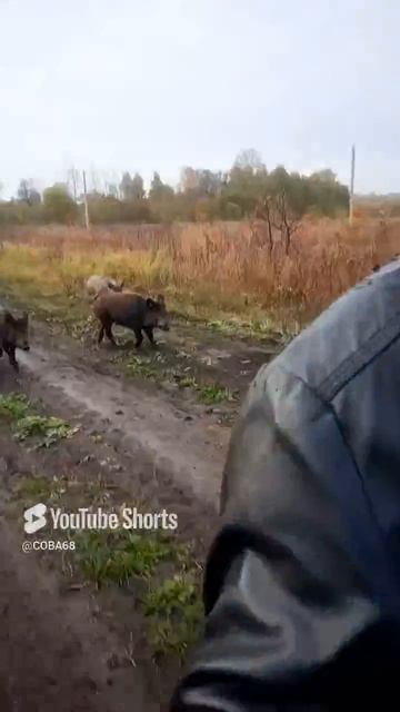 12-02-2025поход