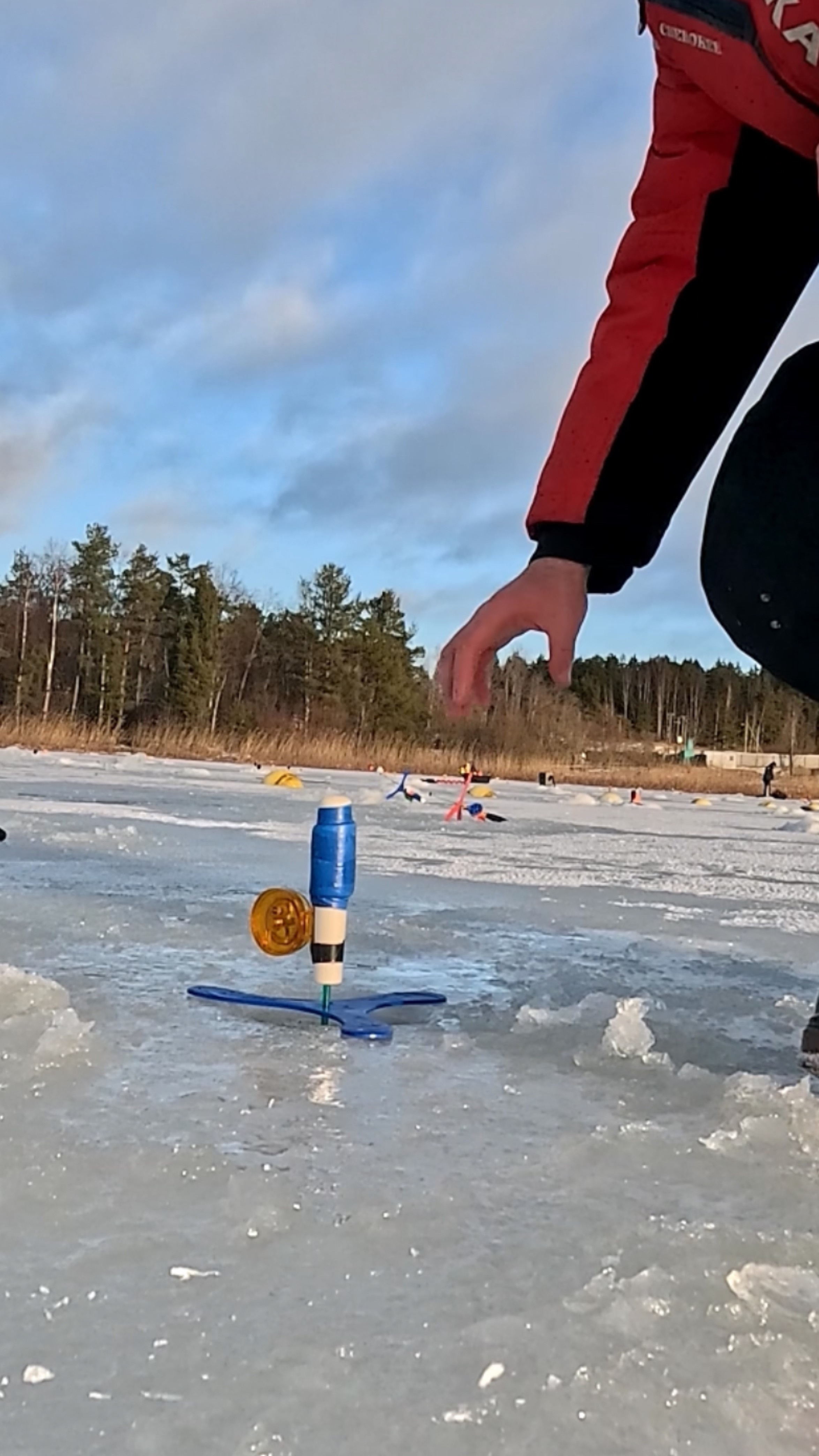 Поклёвка Форели на поставушку