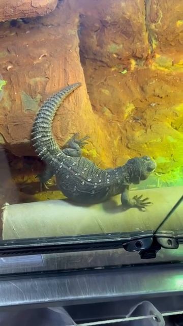 10 и 11 февраля лицеисты посетили факультеты «Биоинженерия и ветеринарная медицина»