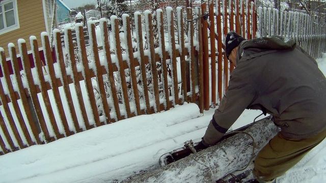 30  11 2019 на даче.Сухостой.Рыжик.