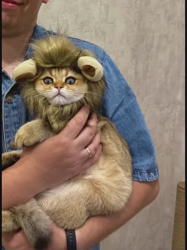 Милашки с Маркетплейса 11 / Cuties from the Marketplace 11