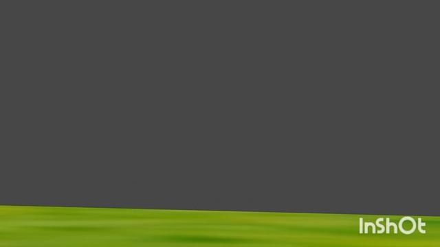 Skibidi one chance сезон 5