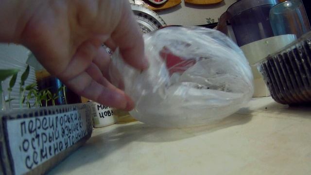 результат эксперимента с луком и перцем 19г