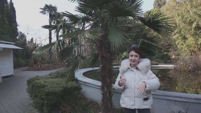 КРЫМ 2025. Как выглядит НИКИТСКИЙ БОТАНИЧЕСКИЙ САД зимой? Потерялись в ЗЕЛЕНОМ ЛАБИРИНТЕ.