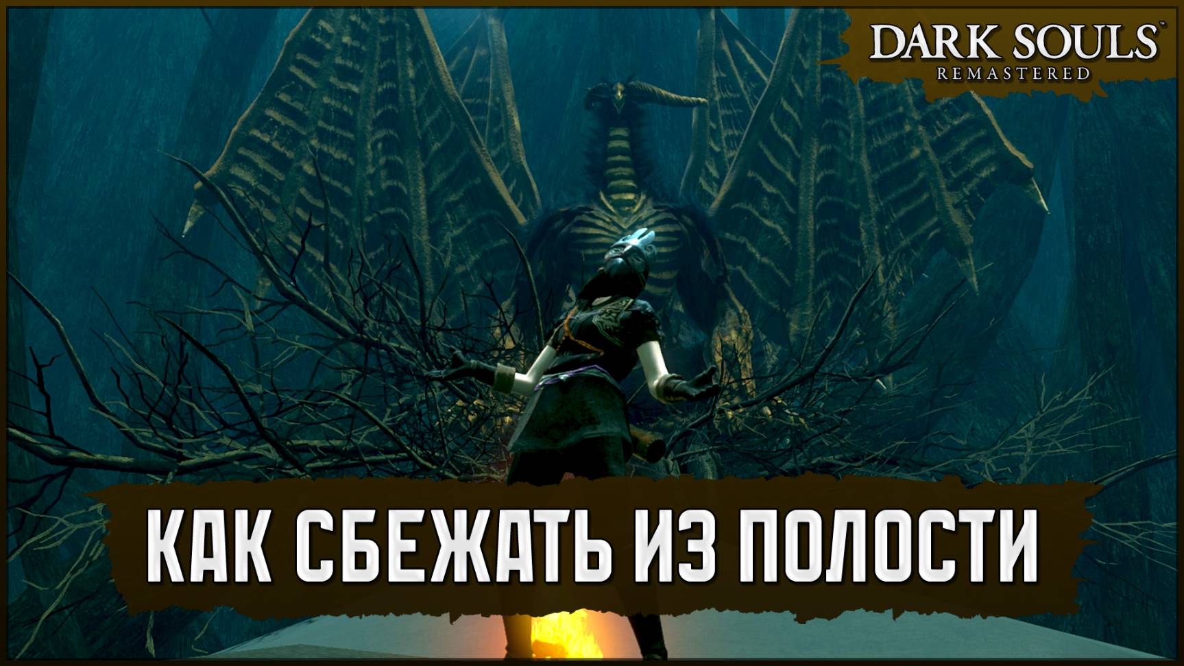 Мини-гайд: Побег из Полости 🡆 Dark Souls: Remastered