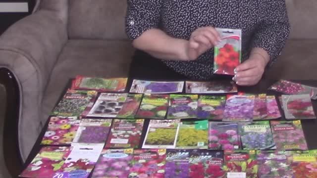 Ничего не буду сеять...