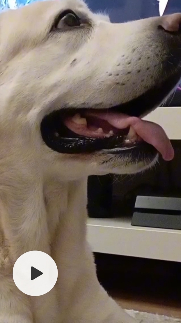 Романтический настрой