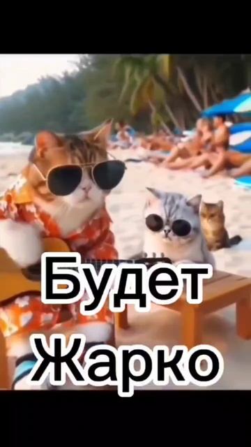 Возможность есть, путешествие