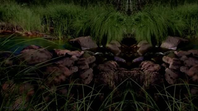 Журчание лесного ручья для сна и релакса