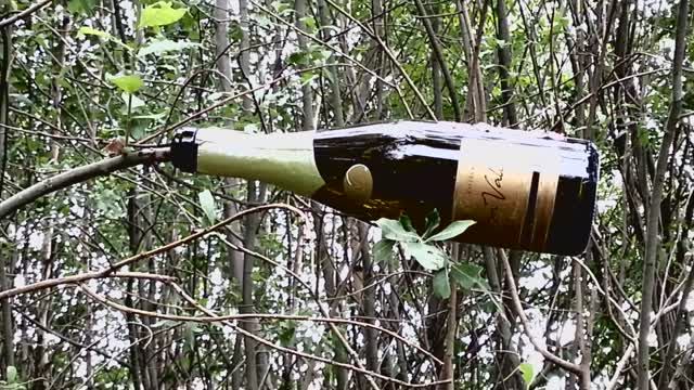 Бутылка и банка на дереве