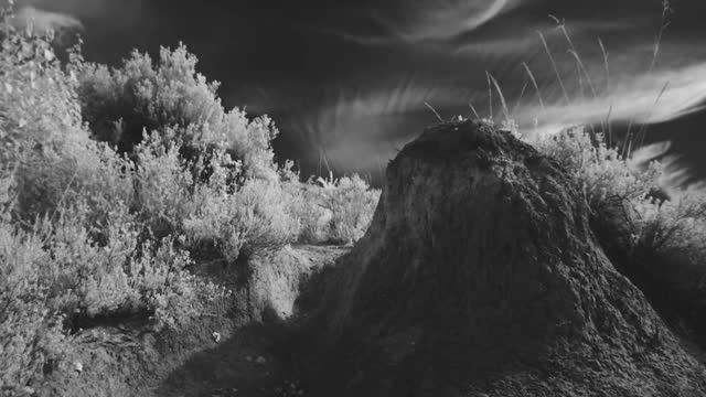 Не страшись