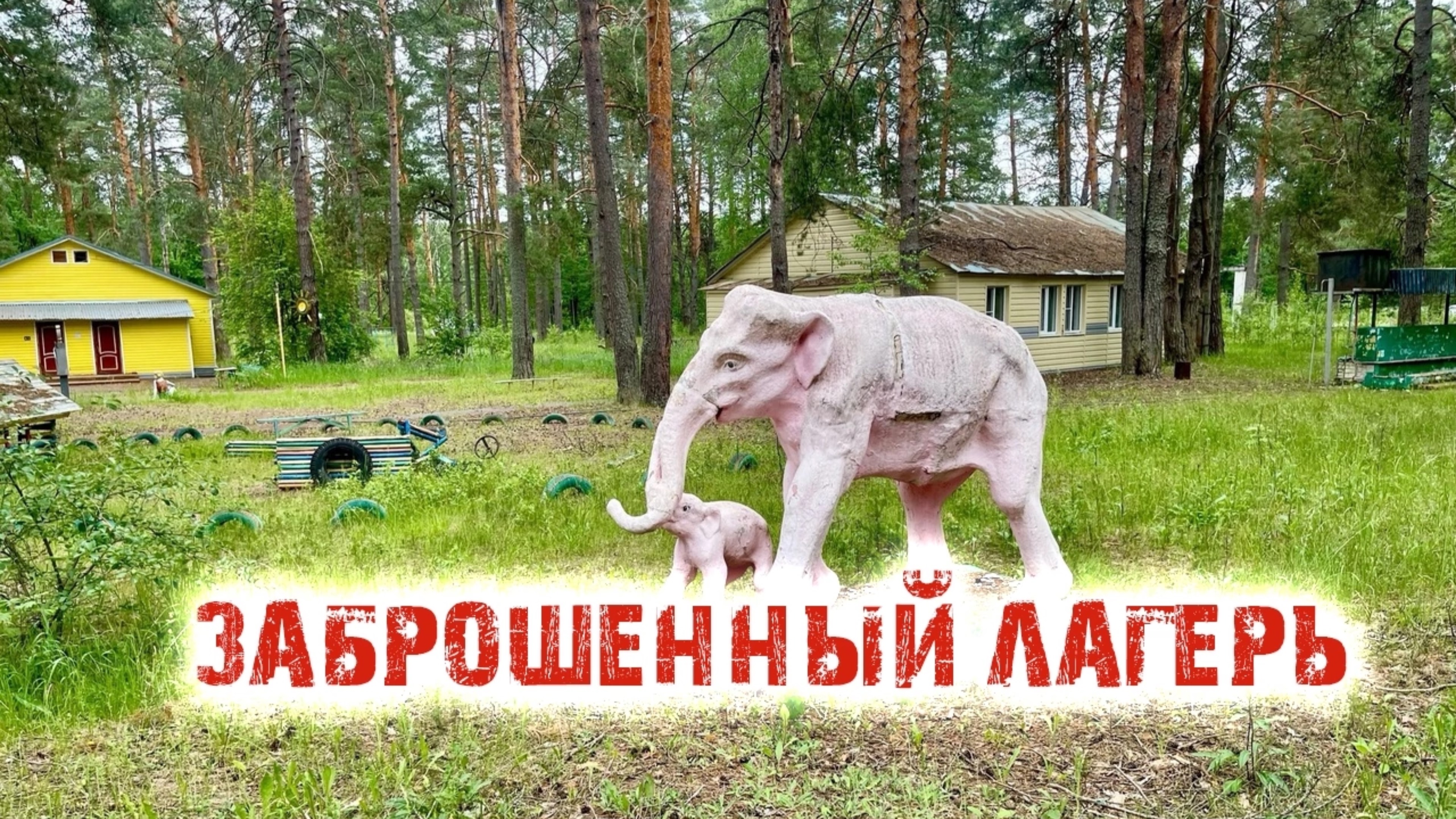 ЗАКРЫТЫЙ ДЕТСКИЙ ЛАГЕРЬ С СОХРАНОМ