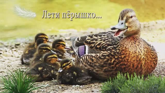 Ирина Леонова – Лети пёрышко...