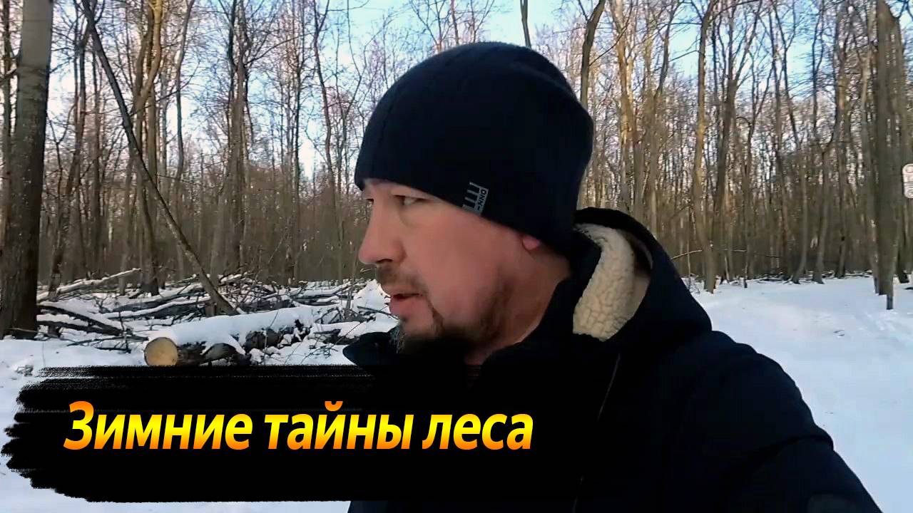 КАК МОЯ БОЛЬНАЯ СТОПА ОТКРЫВАЕТ НОВУЮ СТОРОНУ ПРОГУЛОК ! НОВЫЙ ВЛОГ ! В ЛЕСУ