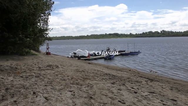 Судачим "У Романыча" Июнь 2024 -Часть первая