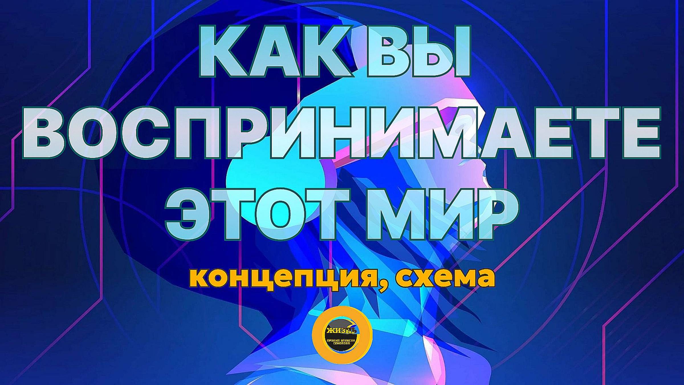 КАК ВЫ ВОСПРИНИМАЕТЕ ЭТОТ МИР. Концепция, схема