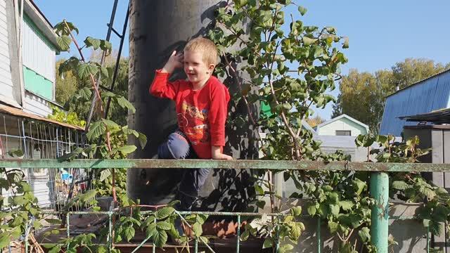 Вовик лезет на бочку