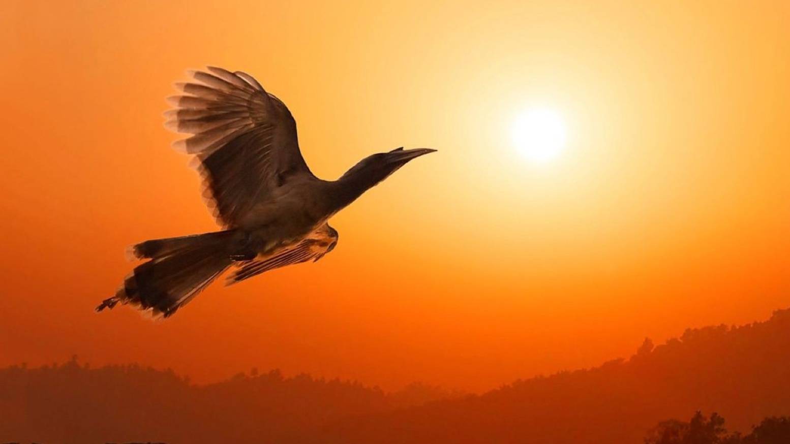 Шри Ауробиндо - Сонеты - К Тебе лишь...