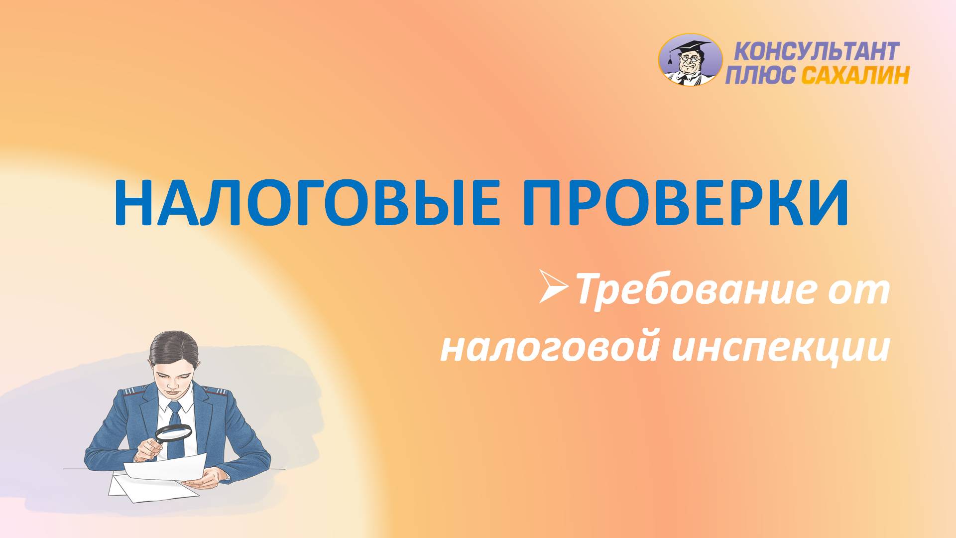 Налоговые проверки. Проверка требований налоговой инспекции на законность.