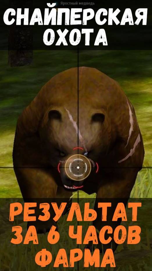 [BDO] 🎯 СНАЙПЕРСКАЯ ОХОТА: РЕЗУЛЬТАТЫ ЗА 6 ЧАСОВ ФАРМА #hunting #охота #снайперская #заработок