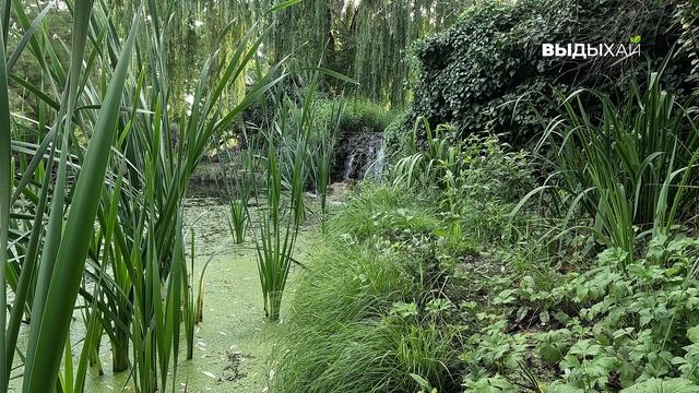 09 Помогает прийти в себя при стрессе или необъяснимой тревоге