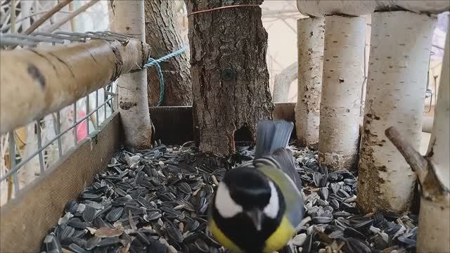 1 Февраля завтрак подан