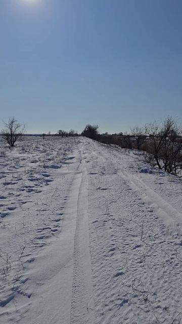 Мороз и солнце 👍👍👍