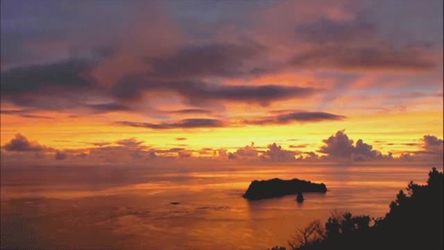 песня. ветки в небе помахали.