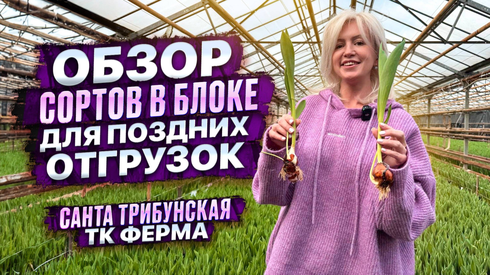 ОБЗОР СОРТОВ В БЛОКЕ ДЛЯ ПОЗДНИХ ОТГРУЗОК