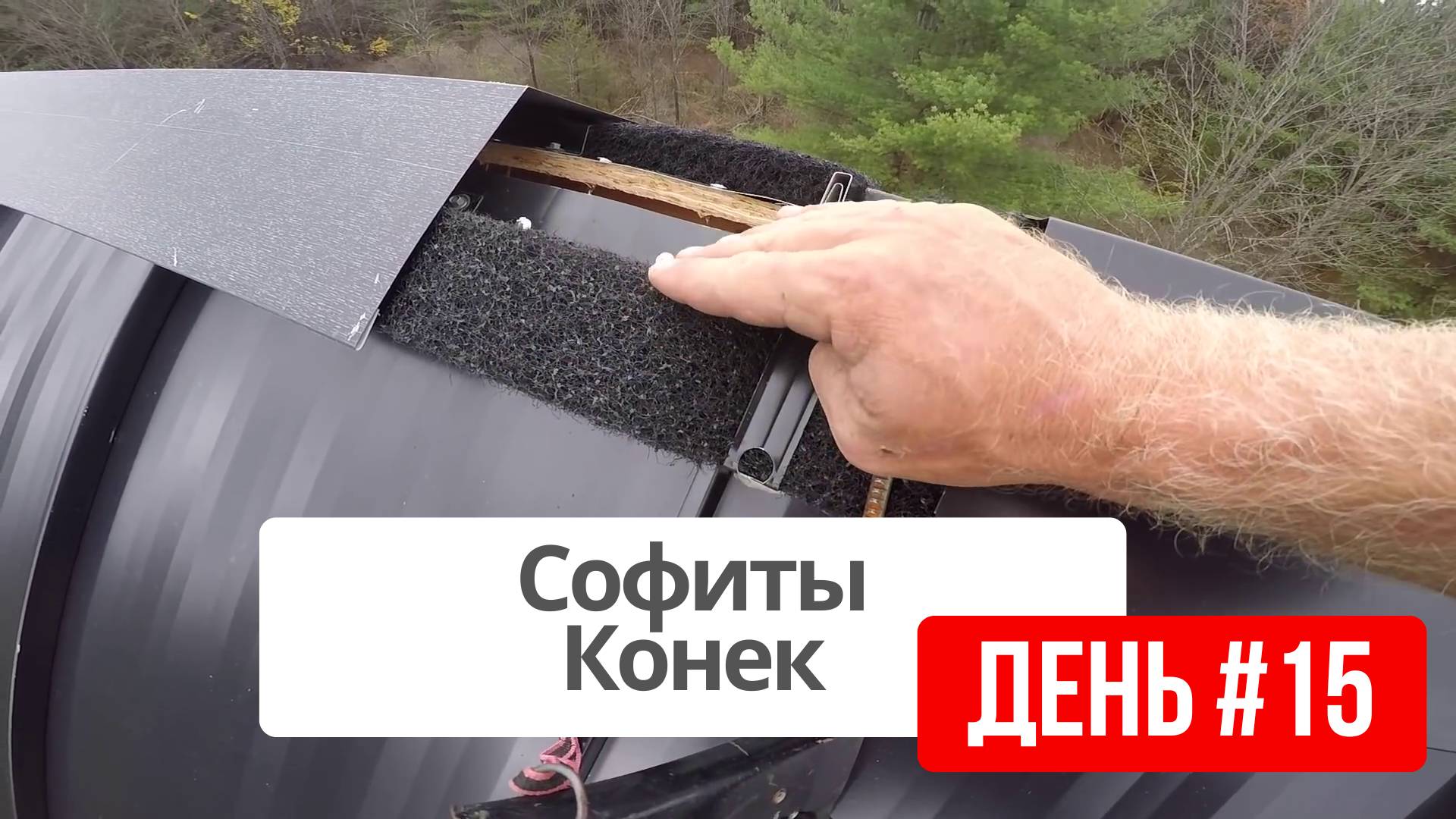 День 15: 🔨 Строительство | Софиты | Конек. Финальный рывок!