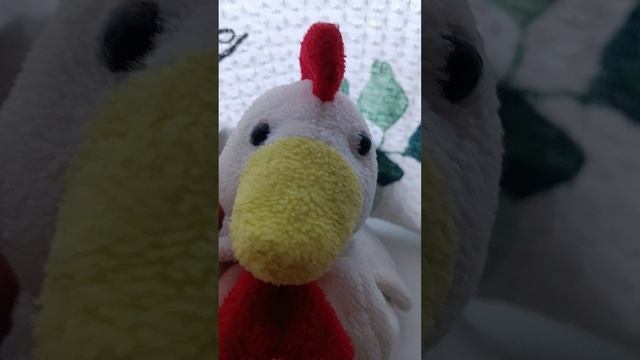 Новости 12.02.2025