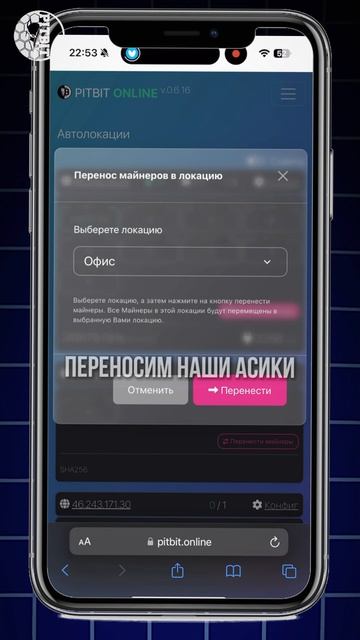 Как включить Автопилот в PITBIT ONLINE✅