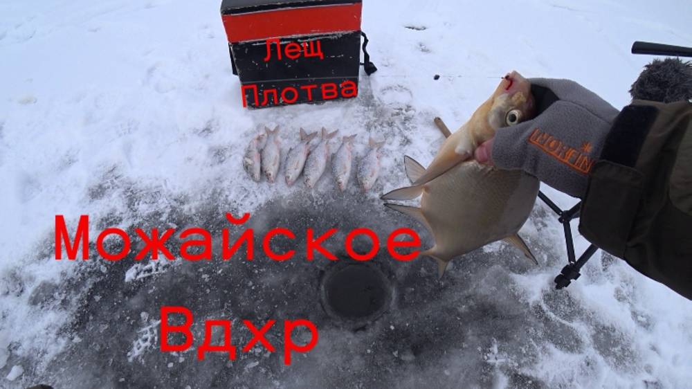 Можайское Водохранилище. Ловля Плотвы Поймал Леща