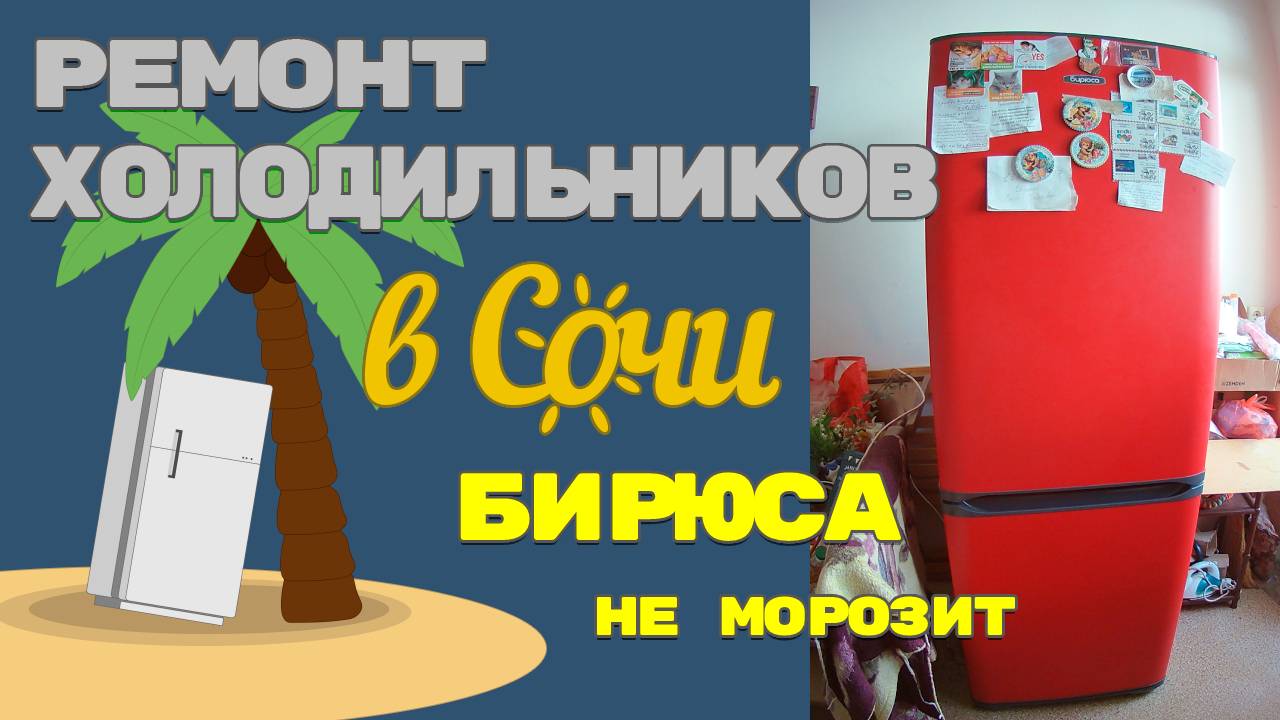Ремонт холодильника Бирюса H320NF не морозит