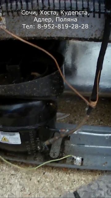 Холодильник Бирюса отзывы мастеров