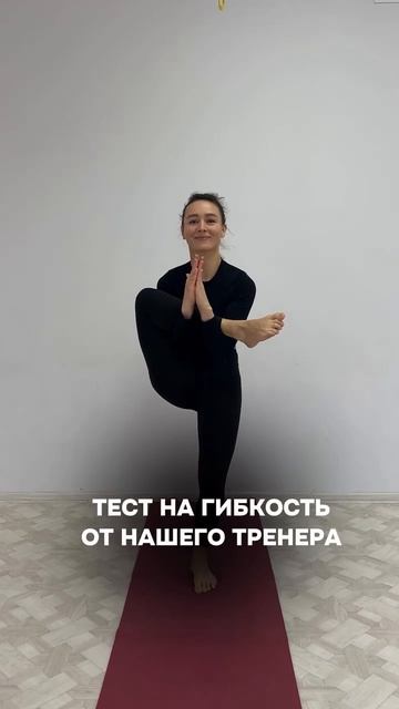 Тест на гибкость